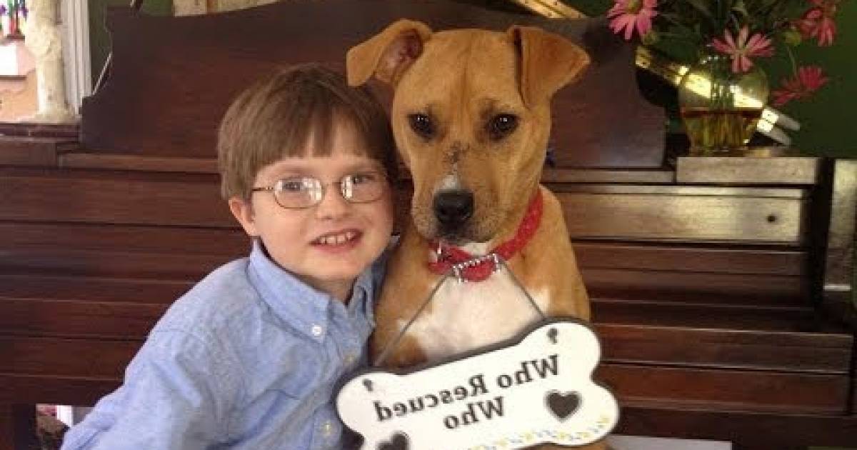 Mom brings home a rescued pit bull. See the amazing effect the dog has ...