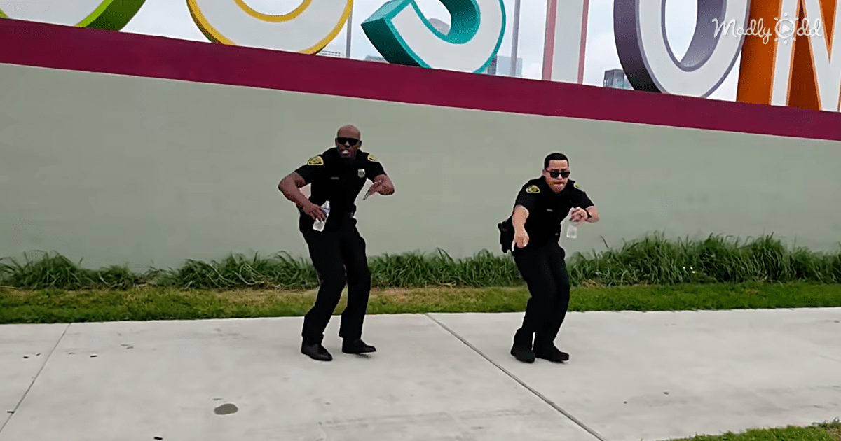 Houston Police Prove Their Dance Skills With 'The Git Up Challenge ...