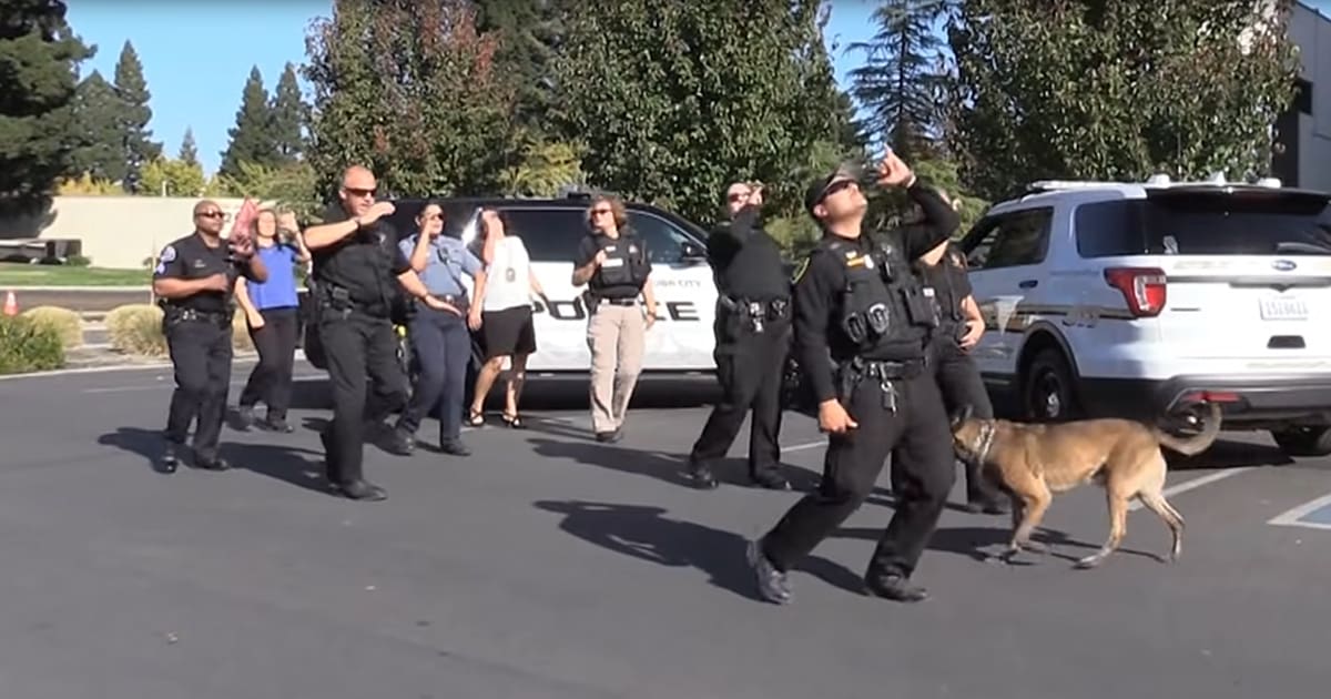 This Police Puppy Certainly Has Moves, Stealing the Spotlight During ...