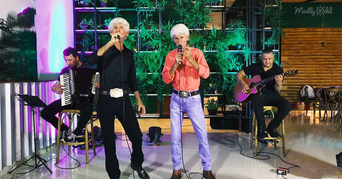 Twin Brothers Get Fame After Five Decades of Singing - Country Bucket