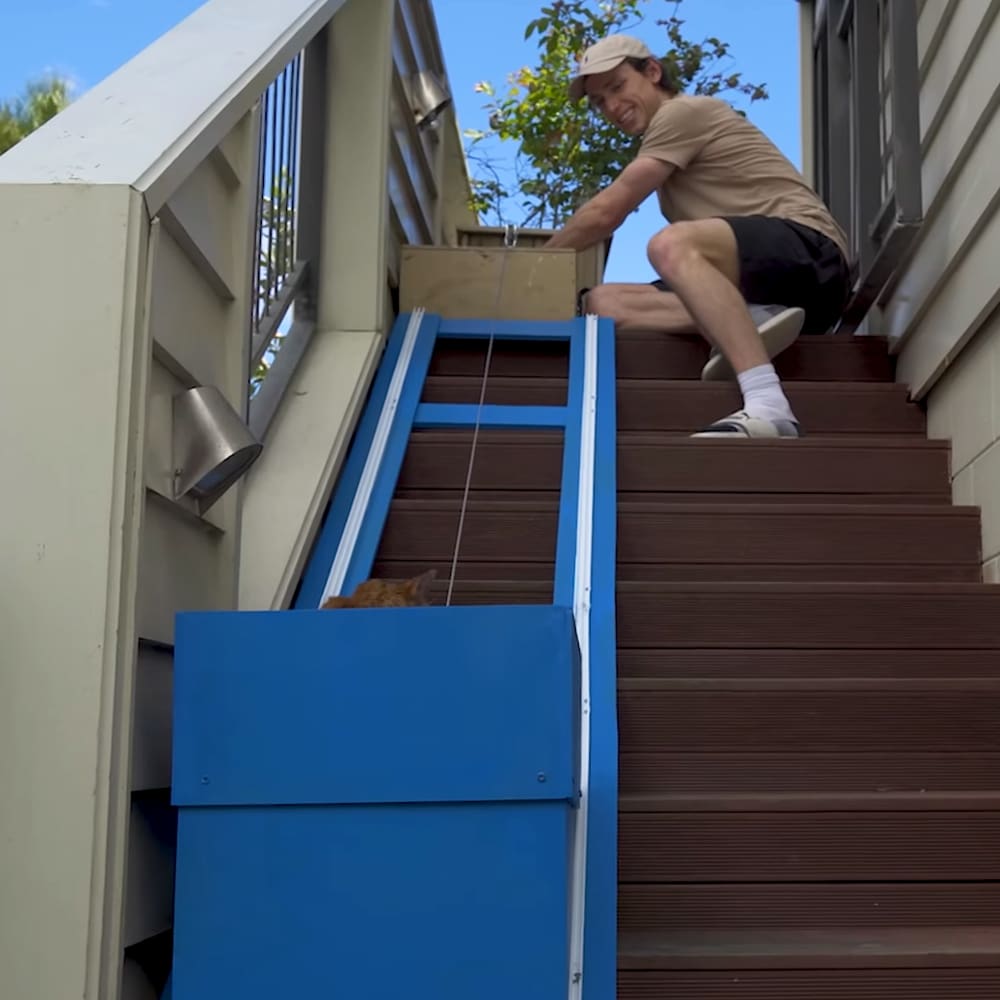 Senior Cat Gets a Custom-Made Elevator to Aid His Mobility - Country Bucket