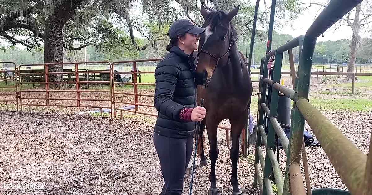 Fearless rider calms bucking horse with heartwarming kindness - Country Bucket