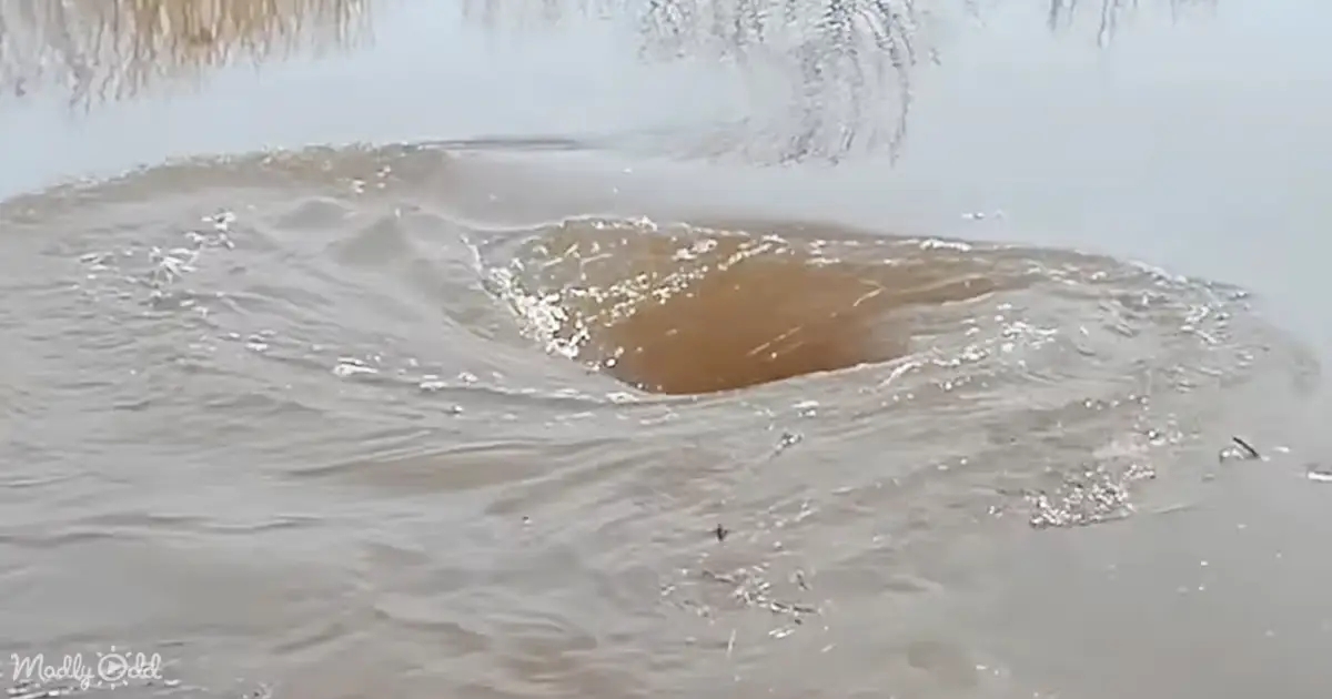 Monstrous Whirlpool Swallows Everything in Its Path - Country Bucket